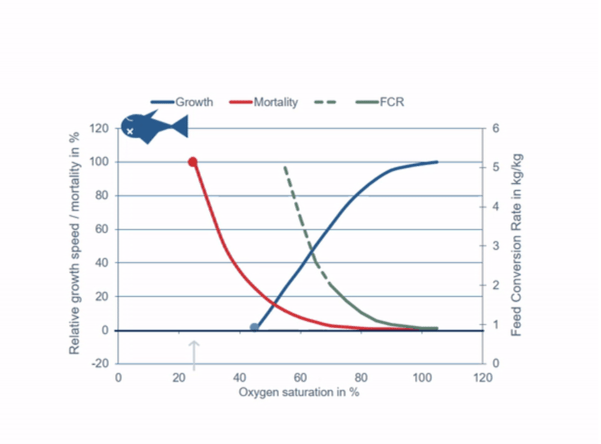 Go Fish: Why Oxygen Needs to be Your Top Aquaculture Priority